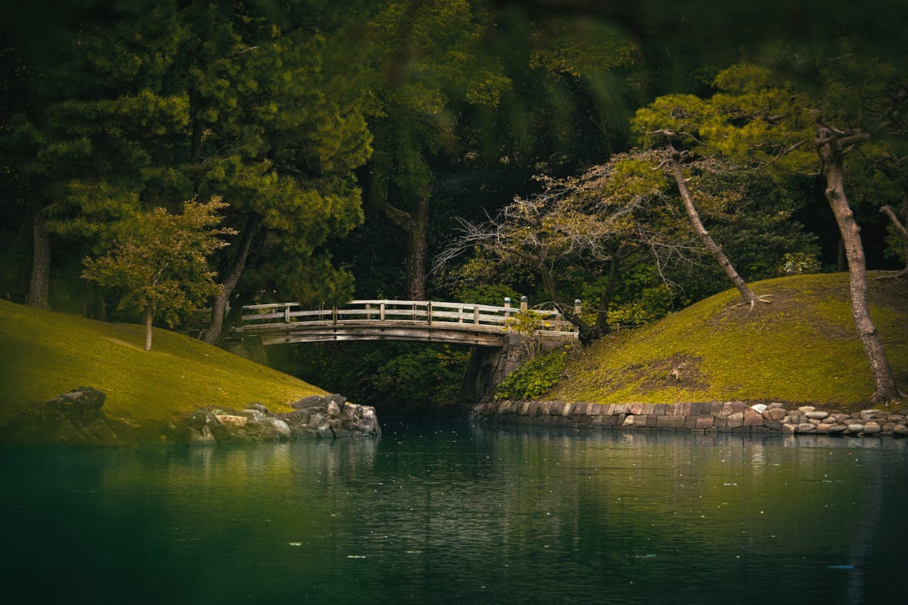 Nomadic Nature - El Giro